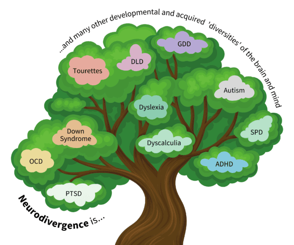 Neurodivergent Clients - Hills District Speech Therapy